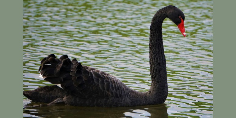 Mars & Co : la vente du cabinet est-elle d'actualité